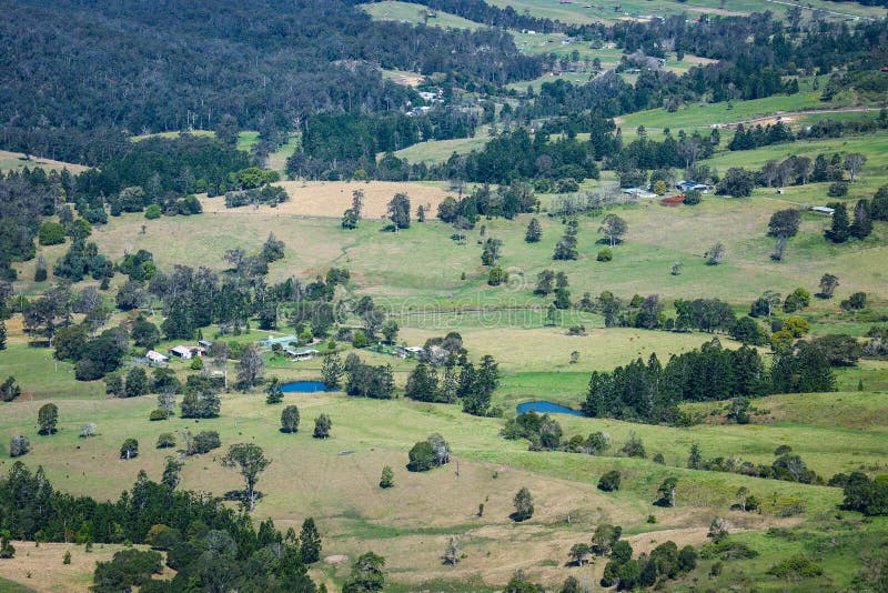 Aerial View of Forest with Dense Trees Stock Image - Image of season ...