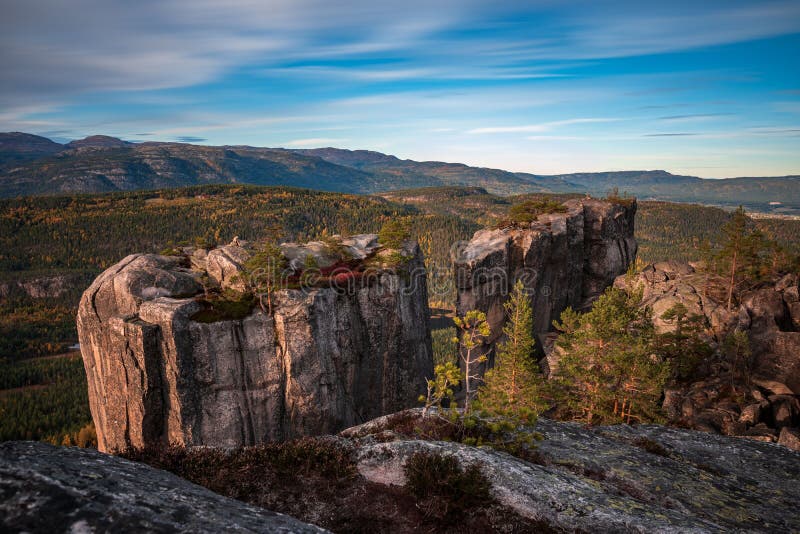 Aerial View of Forest with Dense Trees Behind Rocks Stock Image - Image ...