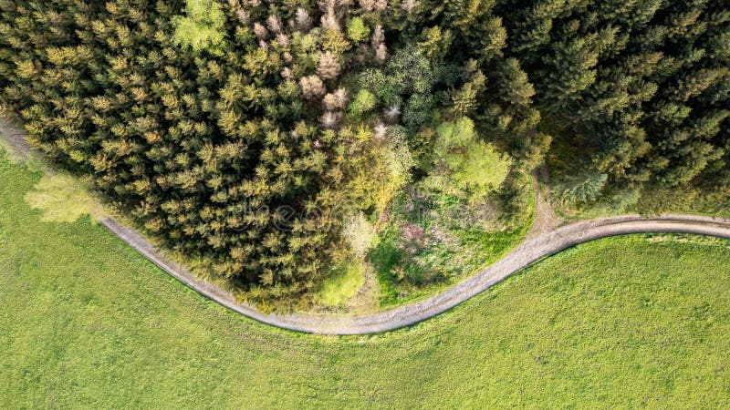 Aerial View of Forest Edge with Curved Path and Grassland Stock Image ...