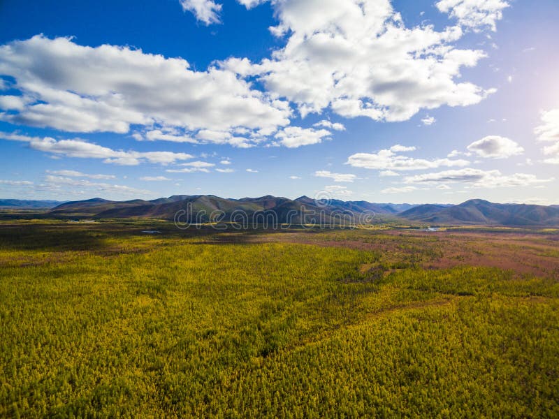 Aerial View of Forest in the Far East, Russia Stock Image - Image of ...