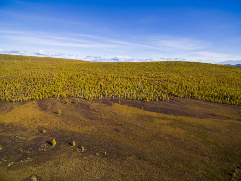 Aerial View of Forest in the Far East, Russia Stock Image - Image of ...
