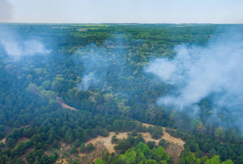 Aerial View of Forest Fire in Spring Fire in the Forest Stock Image ...