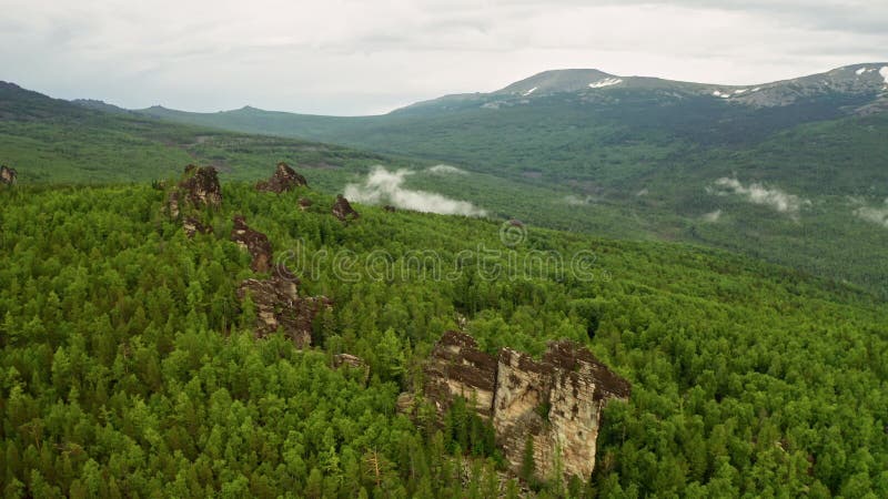 Aerial View of Forest with Mountains in Background Stock Footage ...