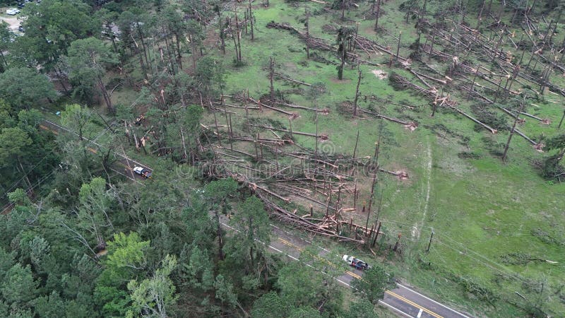 Aerial View of a Forest with Numerous Fallen Trees after a Tornado in ...
