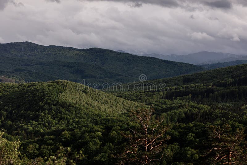 Aerial View of Forest. Panorama of the Mountain Forest Stock Photo ...