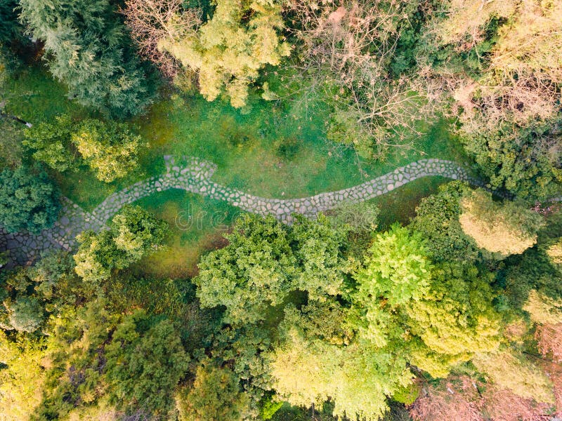 Aerial view of forest path stock photo. Image of abstract - 312784018