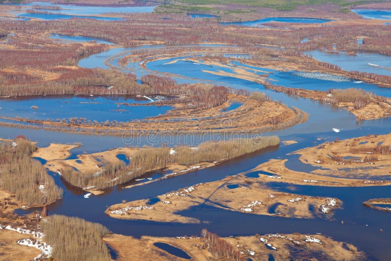 Spring Flooding of Forest River, Top View Stock Photo - Image of ...