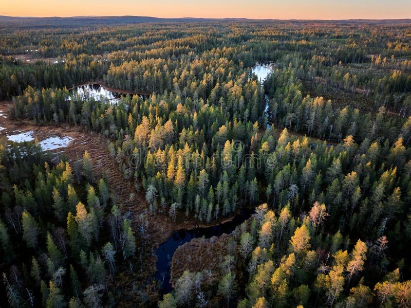 Aerial View of Forest and River at Sunset. Stock Image - Image of ...