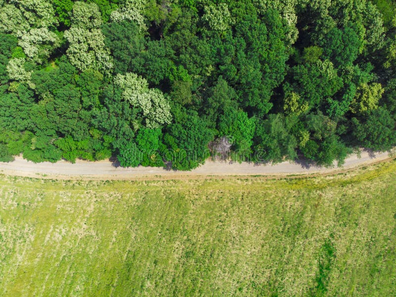 Aerial View of Forest Road and Meadow Stock Image - Image of white ...