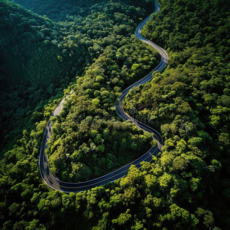 Aerial View of a Forest Road. Aerial View of a Provincial Road Passing ...