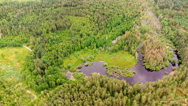 Aerial View of Forest with Water Body Stock Photo - Image of pond ...