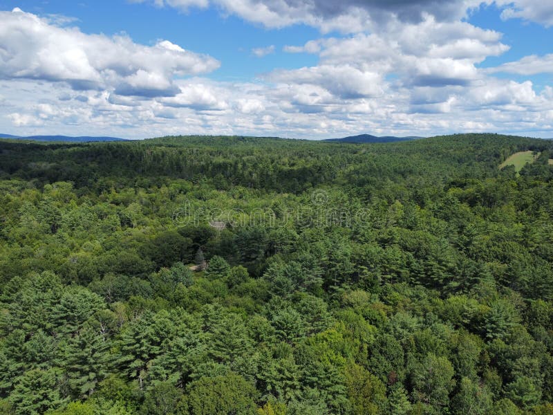Aerial View of a Forested Hill Stock Photo - Image of landscape, nature ...