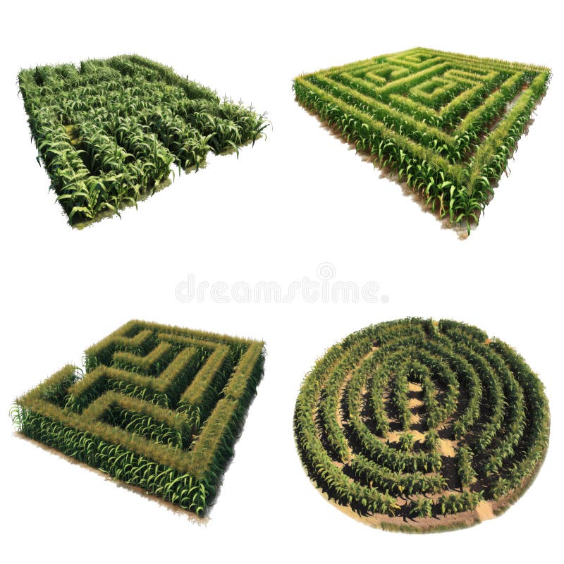 An Aerial View of Four Cornfield Mazes Arranged in Different Shapes ...