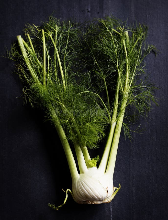 Aerial View of Fresh Funnel Vegetable on Black Background Stock Photo ...