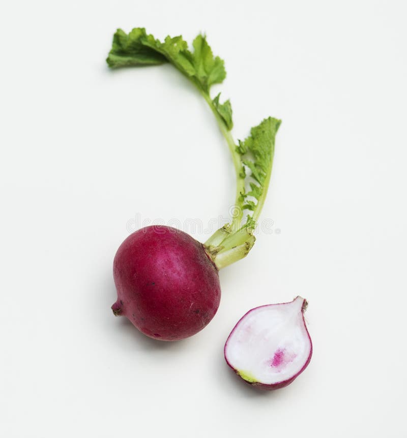 Aerial View of Fresh Radish on White Background Stock Image - Image of ...