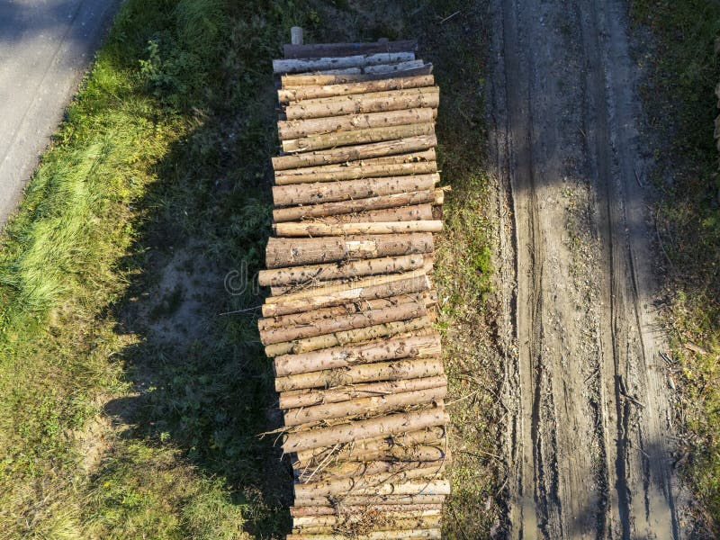 Aerial View of Freshly Cut Timber Logs Stacked beside a Dirt Road ...