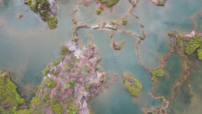 The Frog Hills of Penang Malaysia Stock Photo - Image of petai ...