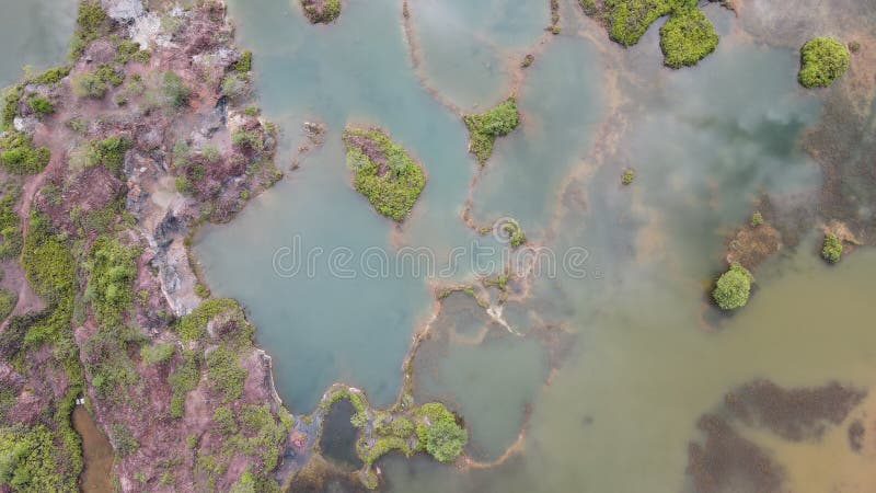 The Frog Hills of Penang Malaysia Stock Image - Image of petai, hiking ...