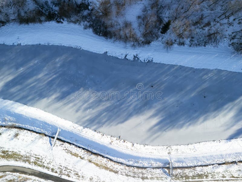 Row of trees with shadows stock image. Image of brown - 255539911