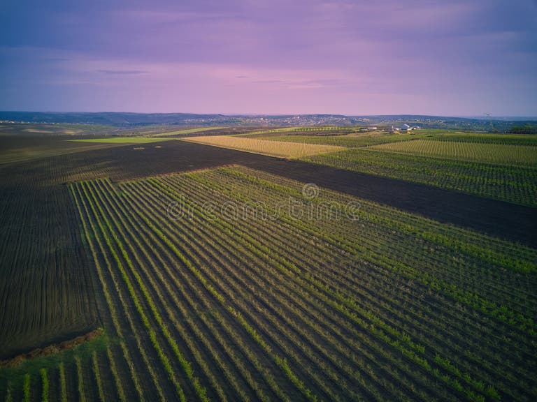 Large Apple Orchard Aerial View Stock Photos - Free & Royalty-Free ...
