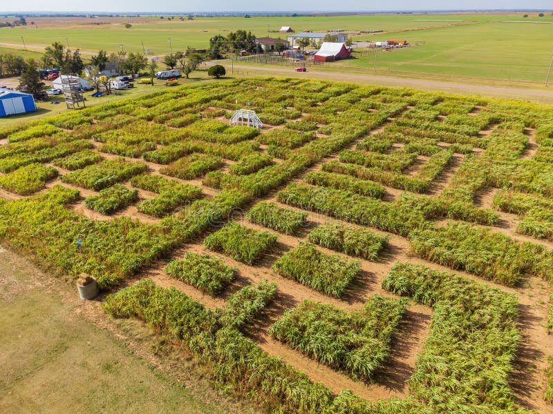 Aerial View of the Fun Daze in a Maze Stock Photo - Image of natural ...