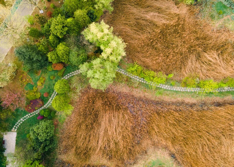 Aerial view of garden path stock photo. Image of leaf - 312783226
