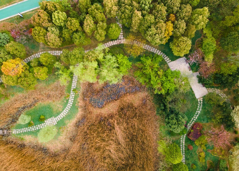 Aerial view of garden path stock image. Image of landscape - 312783233