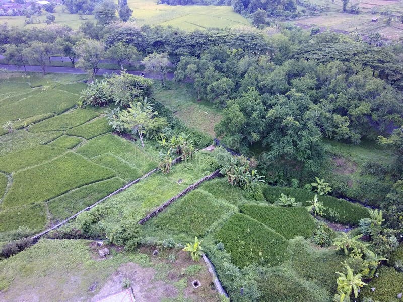Grassy Landscape View with Modern Rural Buildings Surrounded by ...