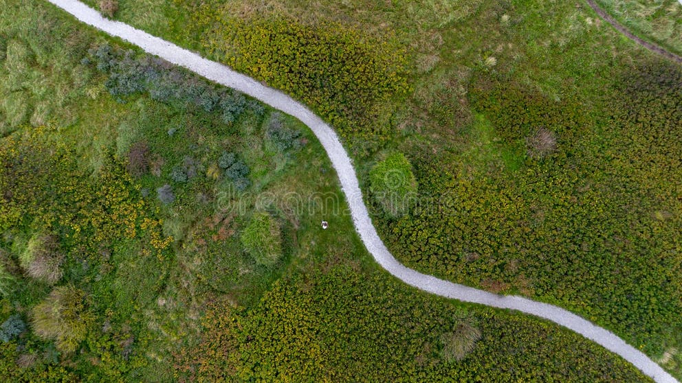 Aerial View of a Grassy Landscape with Intersecting Dirt Paths ...