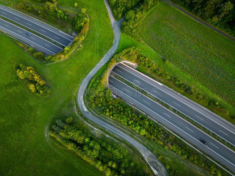 Aerial View of a Green Bridge Ecoduct for Fauna Crossing Above the ...
