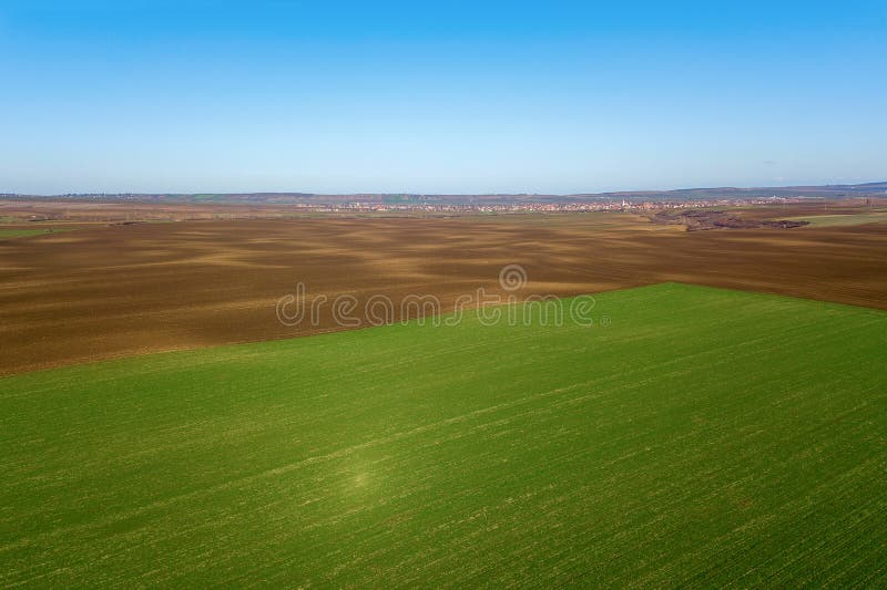Aerial View Green Field from Above Stock Image - Image of plant, farm ...