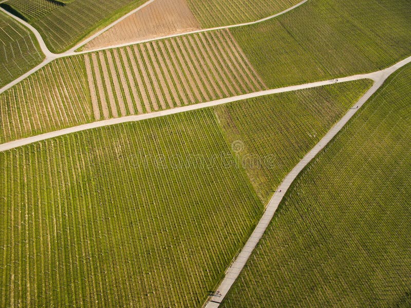 Aerial view of green field stock photo. Image of green - 129325536