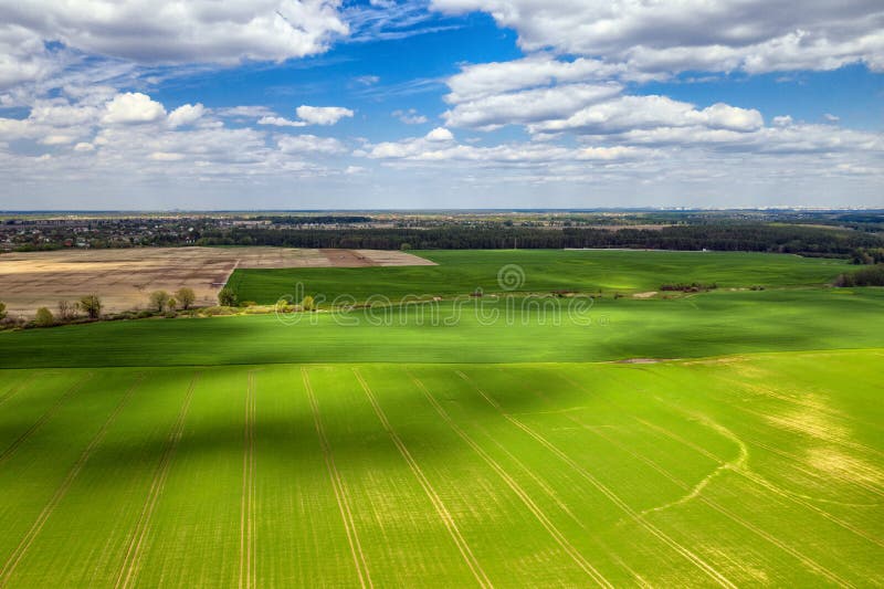 Aerial view of green field stock photo. Image of sunlight - 184490228
