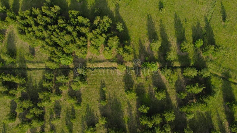 Aerial View of Green Fields and Trees Stock Photo - Image of rural ...