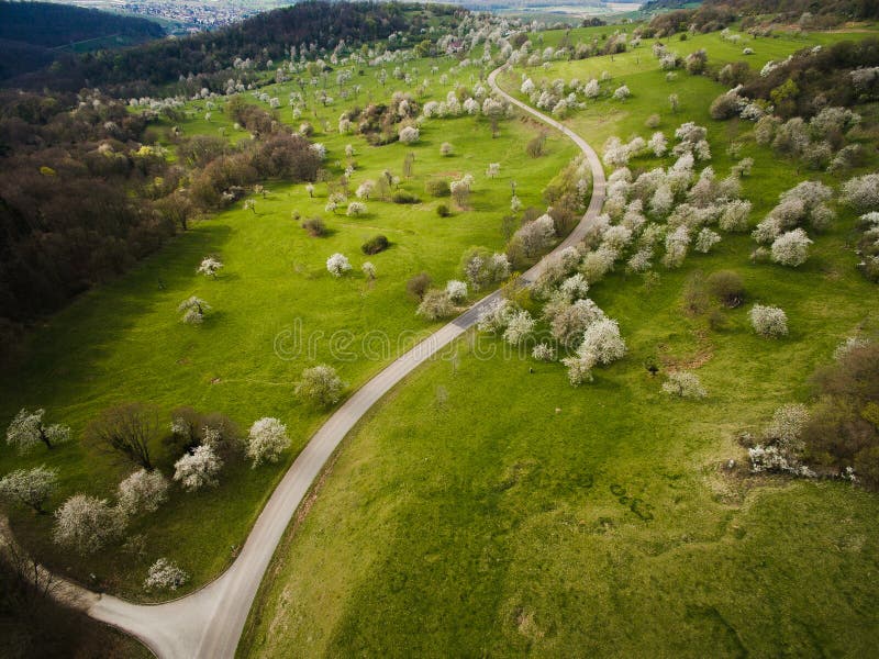 Aerial View Of Green Hills With Trees Stock Photo - Image of explore ...