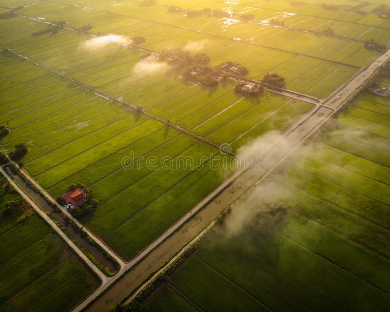 Aerial View of Paddy Field after Ploughed. Stock Image - Image of ...