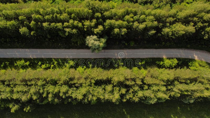 Aerial View of Green Summer Forest Road. Road from Above. Stock Image ...