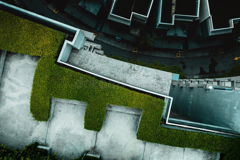 Aerial View of Green Trees and Concrete Buildings Stock Image - Image ...