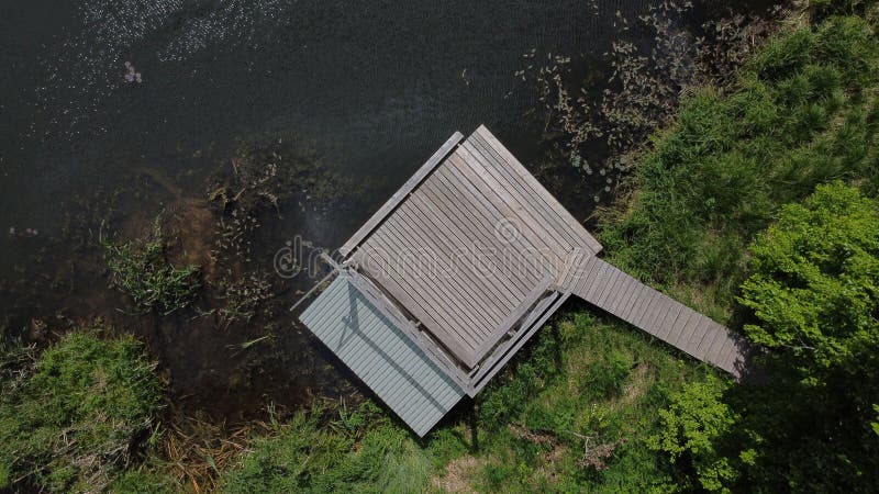 Aerial View of Green Trees and a Wooden Dock in a Beautiful Rainforest ... Aerial View of Green Trees and a Wooden Dock in a Beautiful Rainforest ...