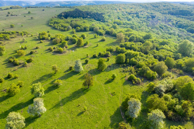 Aerial View of a Green Wild Pasture in the Spring Stock Image - Image ...