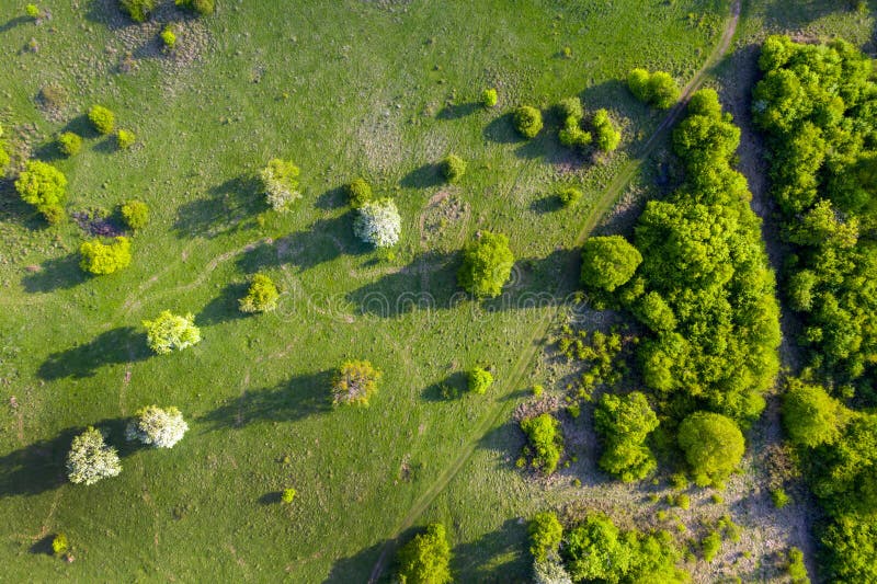 Aerial View of a Green Wild Pasture in the Spring Stock Photo - Image ...
