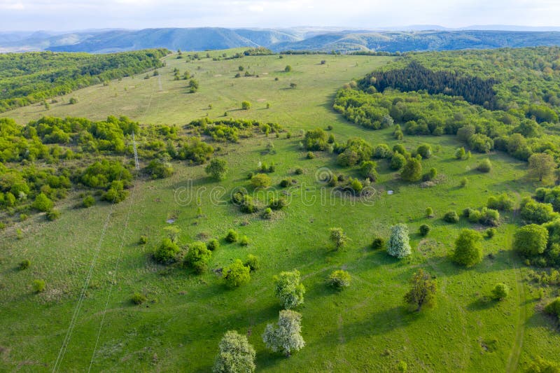 Aerial View of a Green Wild Pasture in the Spring Stock Image - Image ...
