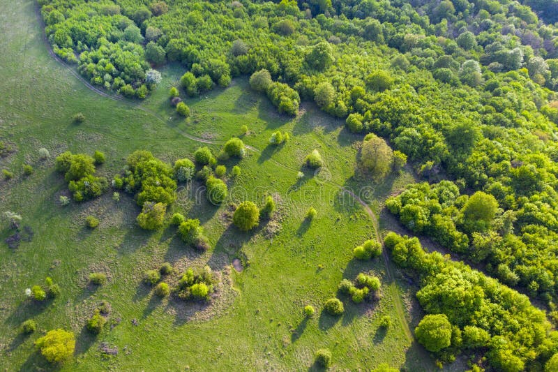 Aerial View of a Green Wild Pasture in the Spring Stock Image - Image ...