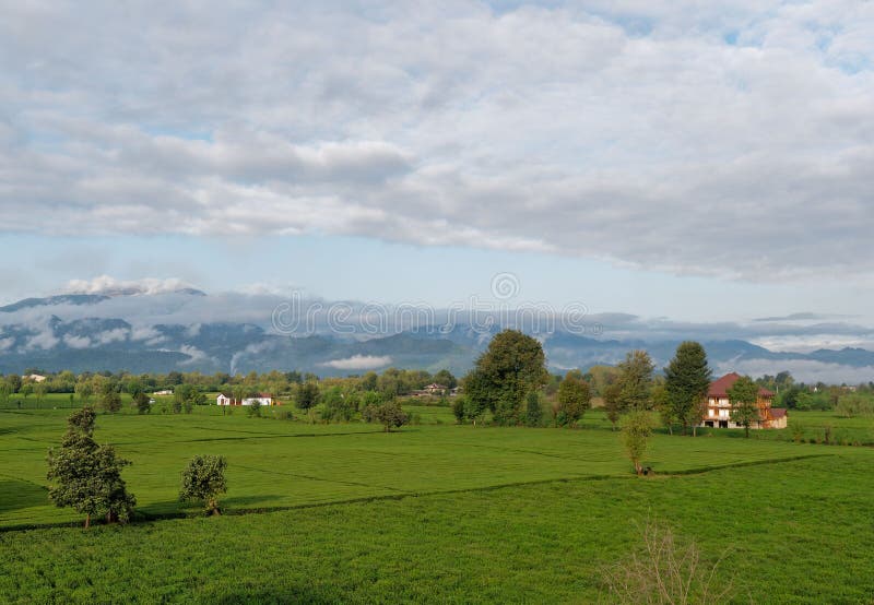 Aerial View of Greenery Field with Buildings in Gilan Stock Image ...
