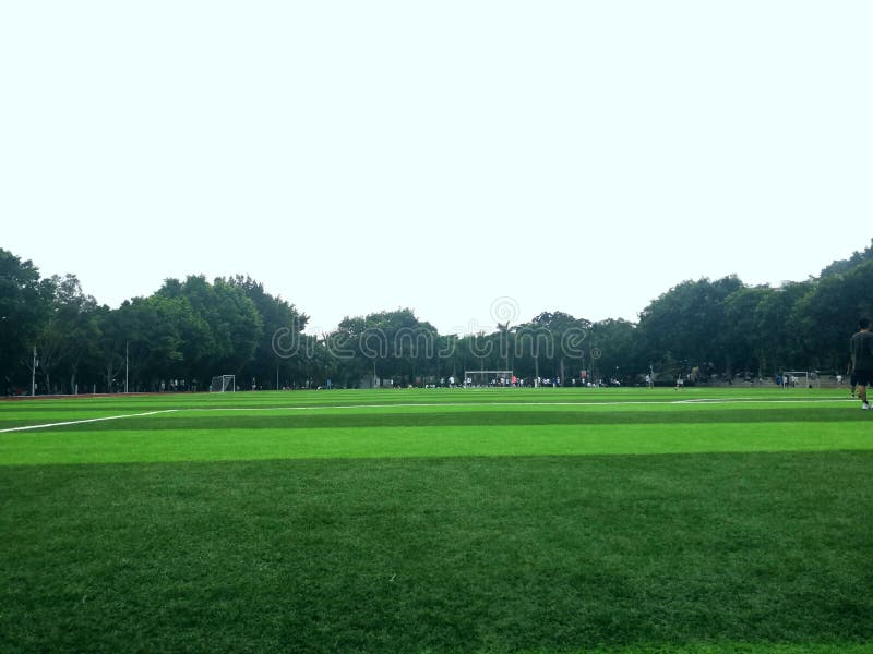 Aerial View of Greenery Field with Dense Trees Stock Image - Image of ...