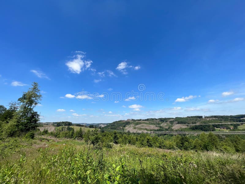 Aerial View of Greenery Field Surrounded by Dense Trees Stock Image ...