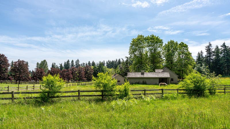 Aerial View of Greenery Field Surrounded by Dense Trees Stock Image ...