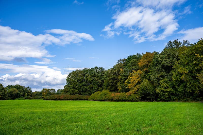 Aerial View of Greenery Field Surrounded by Dense Trees Stock Photo ...