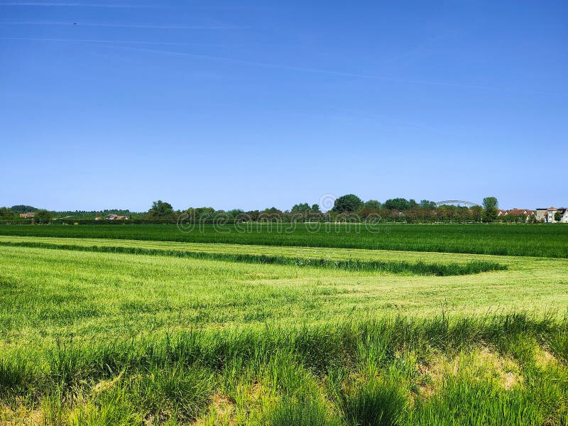 Aerial View of Greenery Field Surrounded by Trees Stock Photo - Image ...