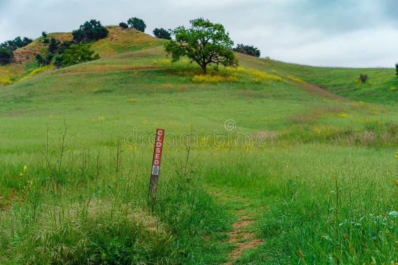 Aerial View of Greenery Field with Trees Stock Image - Image of growth ...